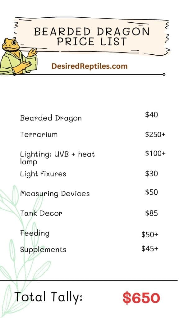 How Much Does A Bearded Dragon Cost? The Ultimate Price Guide • Desired ...